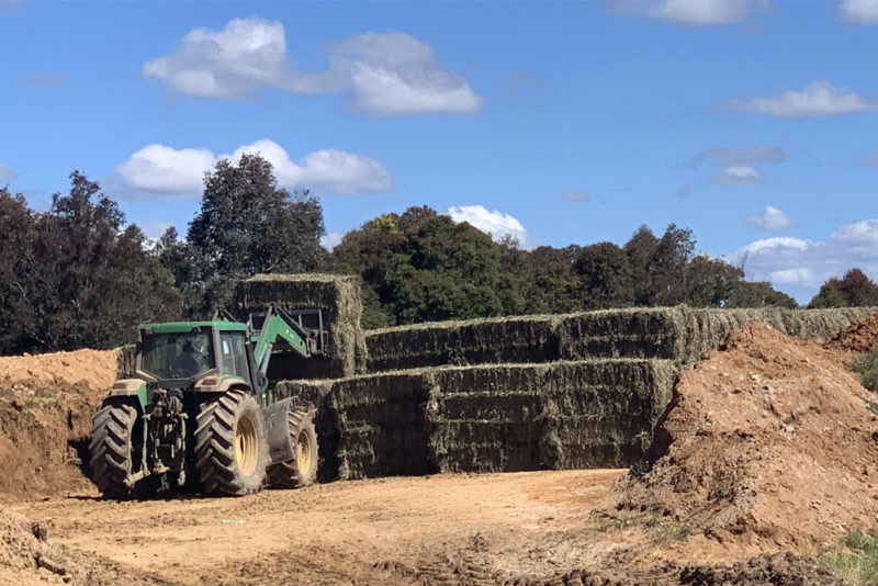 Make hay (……….and silage) while the sun shines - Wirrabilla Fleckvieh ...